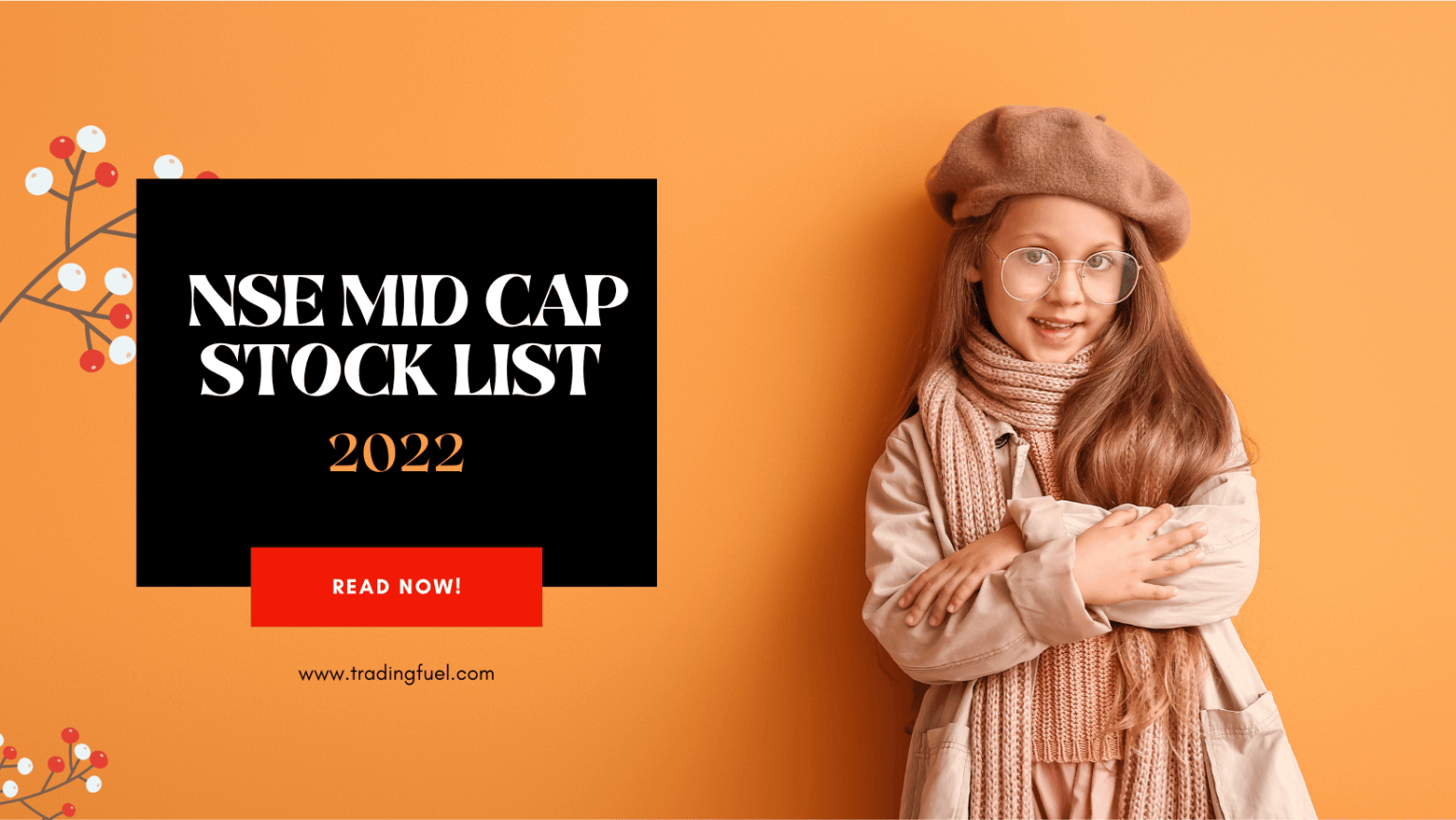 NSE Mid Cap Stock List in NSE - Trading Fuel